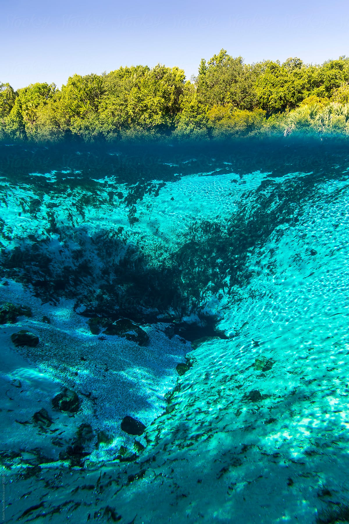 "Fresh Water Spring In Florida" by Stocksy Contributor "Adam Nixon ...