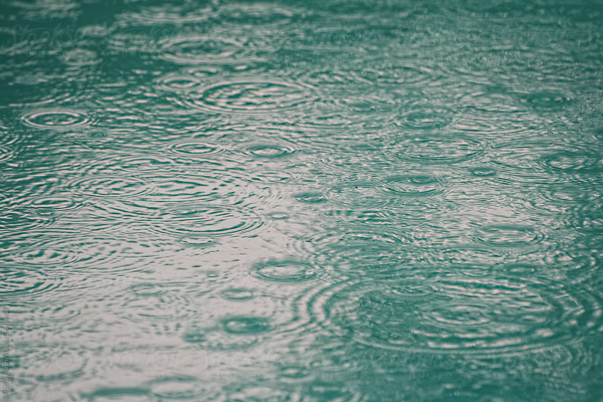 "Rain Drops Falling Into A Puddle" by Stocksy Contributor "Monica ...