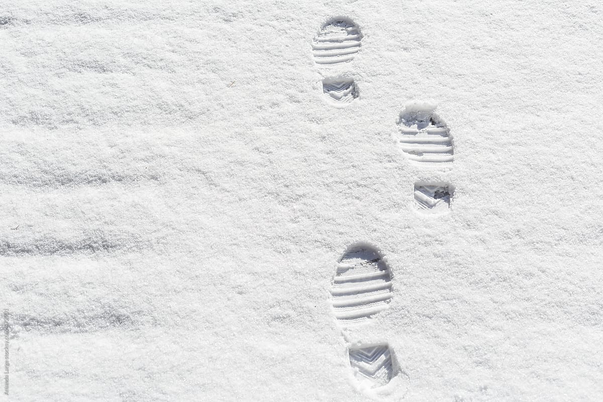 "Footprints In Fresh Snow" by Stocksy Contributor "Amanda Large" - Stocksy