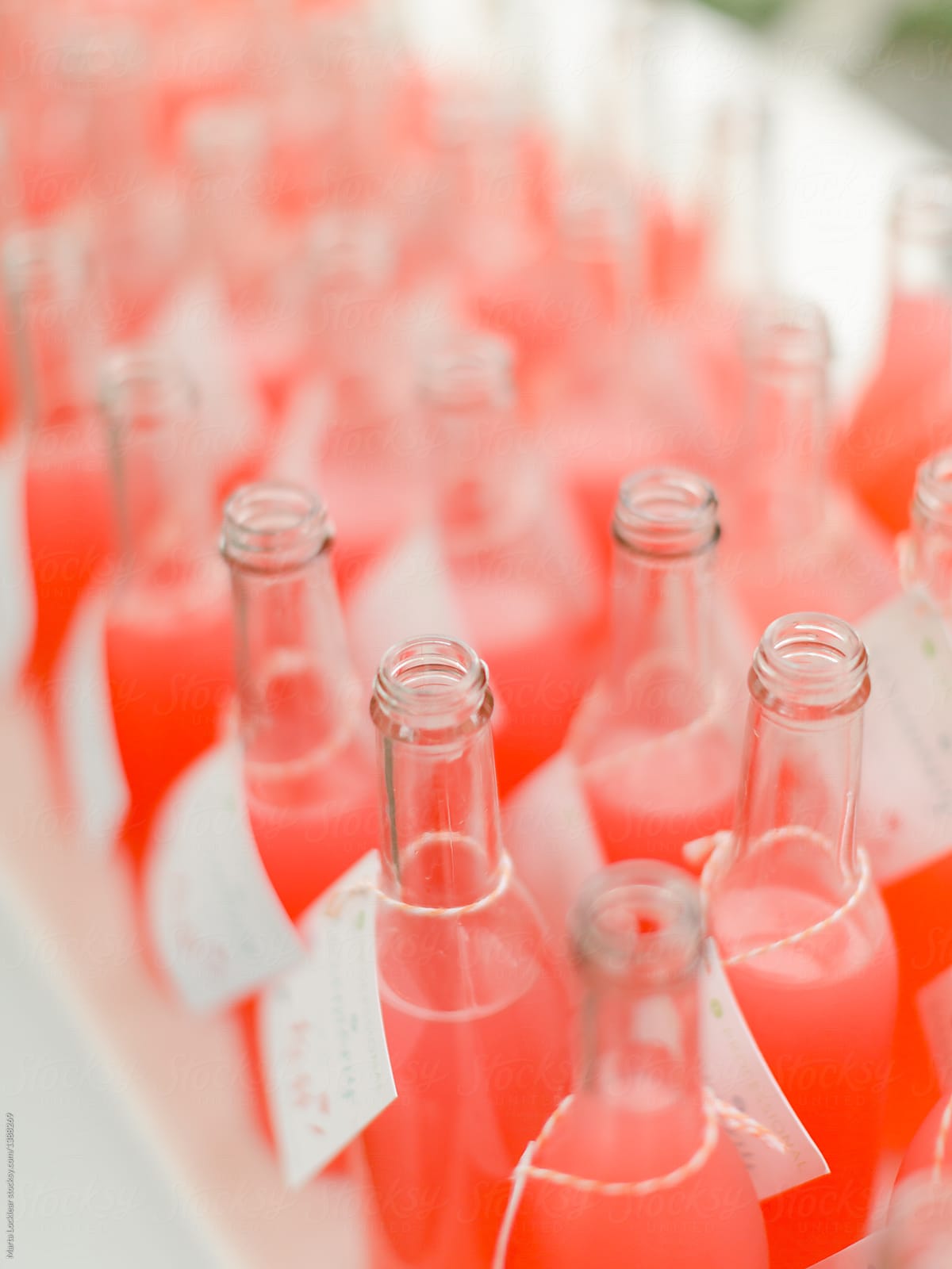 "Coral Pop" by Stocksy Contributor "Marta Locklear" - Stocksy