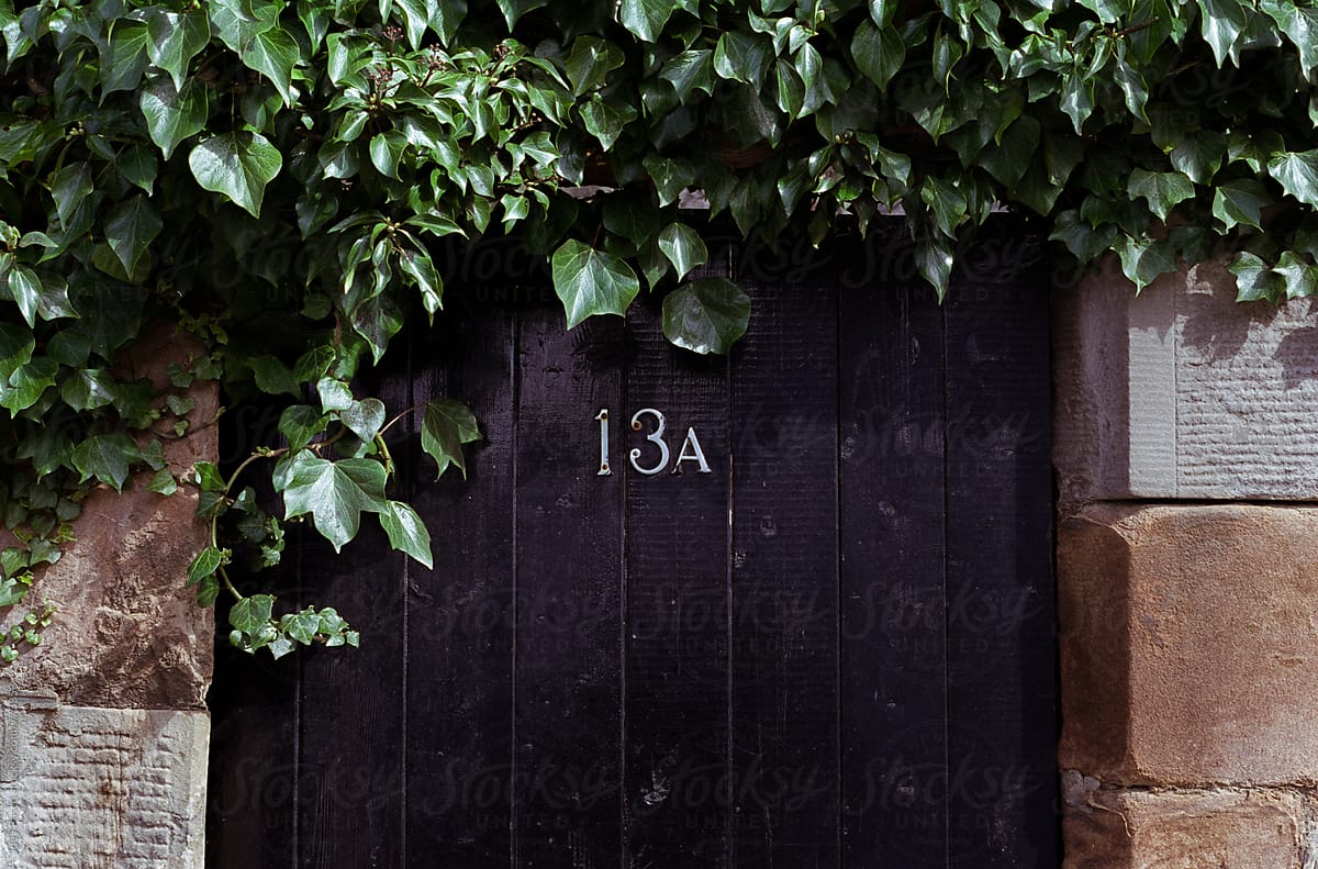 "Vine-covered Wooden Door In Garden Wall In Edinburgh" by Stocksy ...