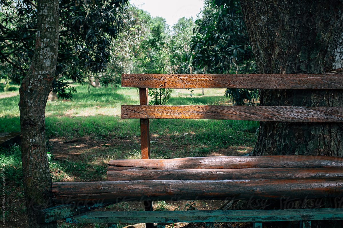 "Sunlight Partially Hitting A Wooden Bench" by Stocksy Contributor ...
