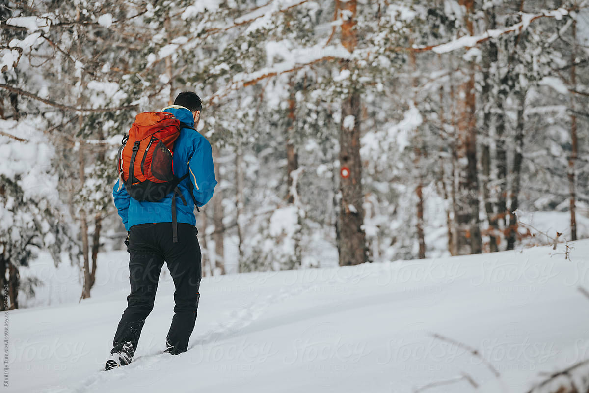 "Man Hiking Trough The Forest In Winter" by Stocksy Contributor ...