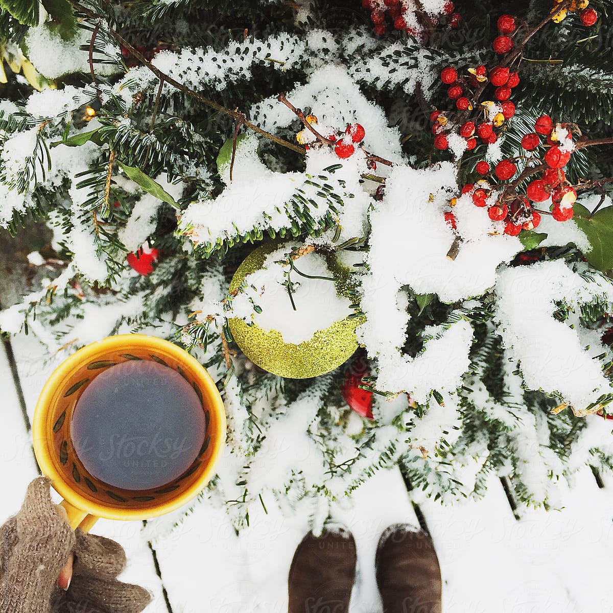 "Morning Coffee Outdoors With The Christmas Tree" by Stocksy ...