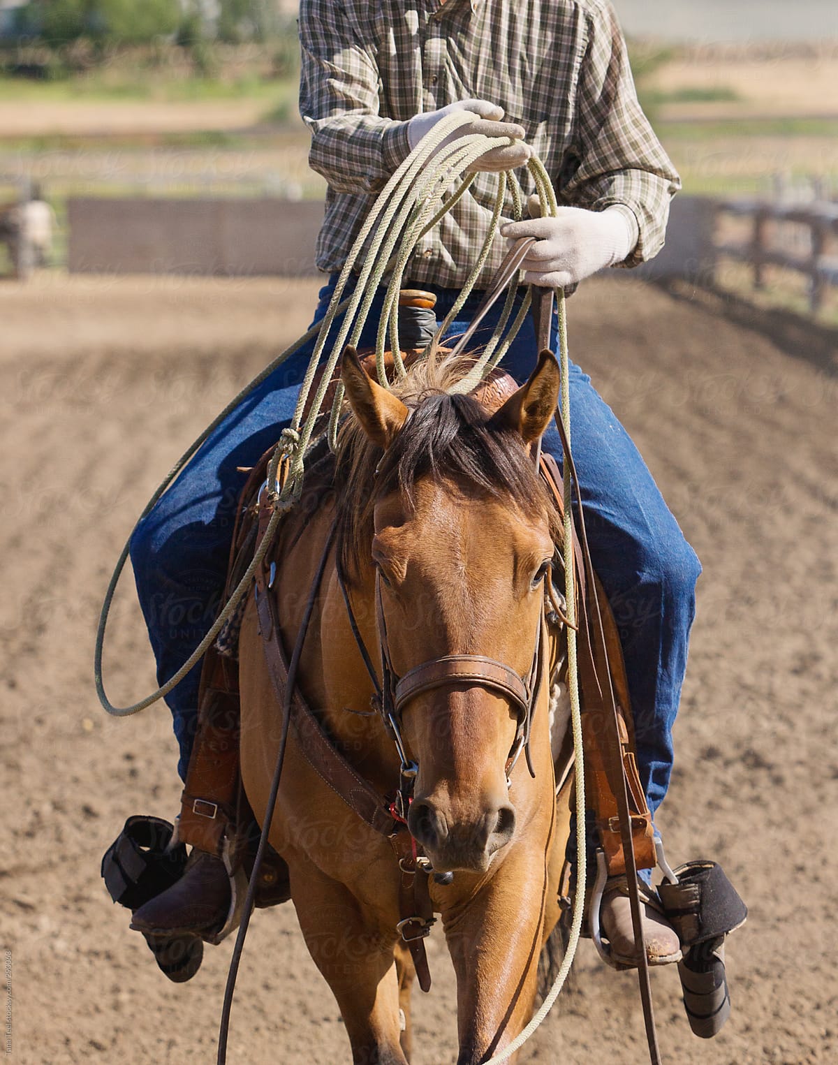 "Close Up Of Cowboy Holding Coiled Lariat" by Stocksy Contributor "Tana ...