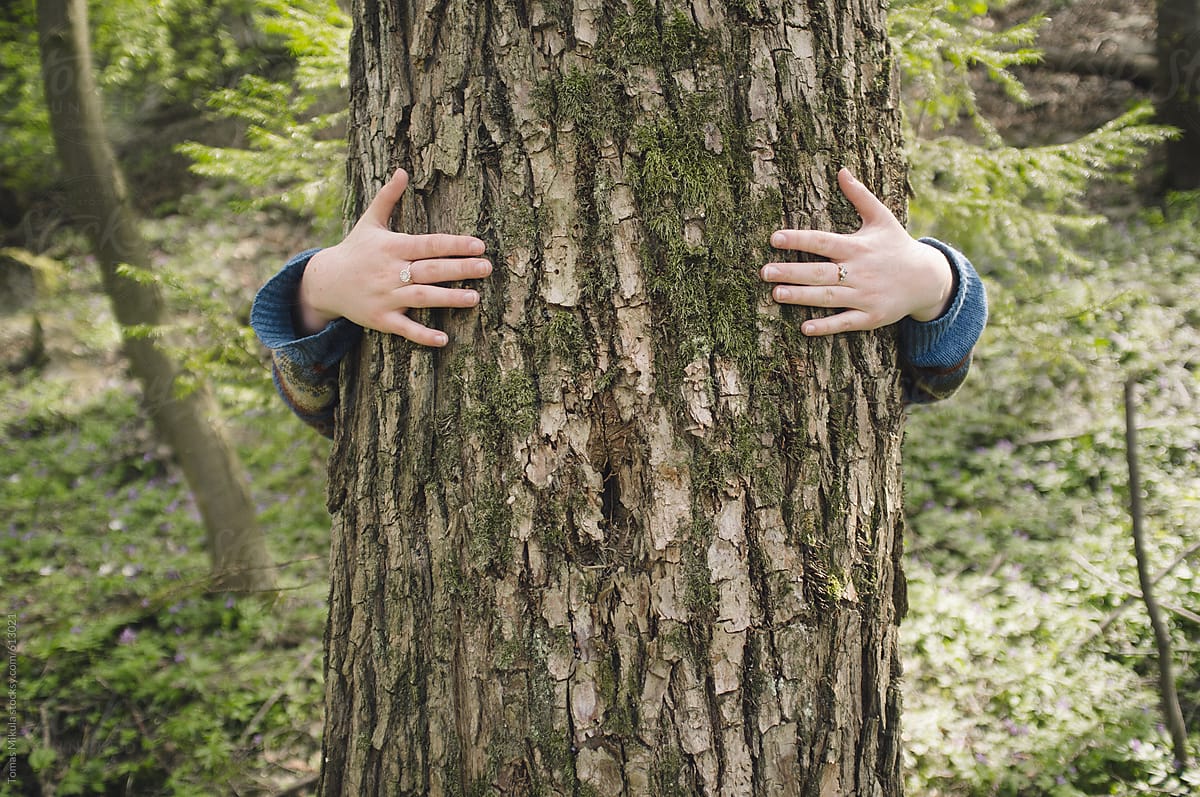"Girl Hugging The Tree" by Stocksy Contributor "Tomas Mikula" - Stocksy