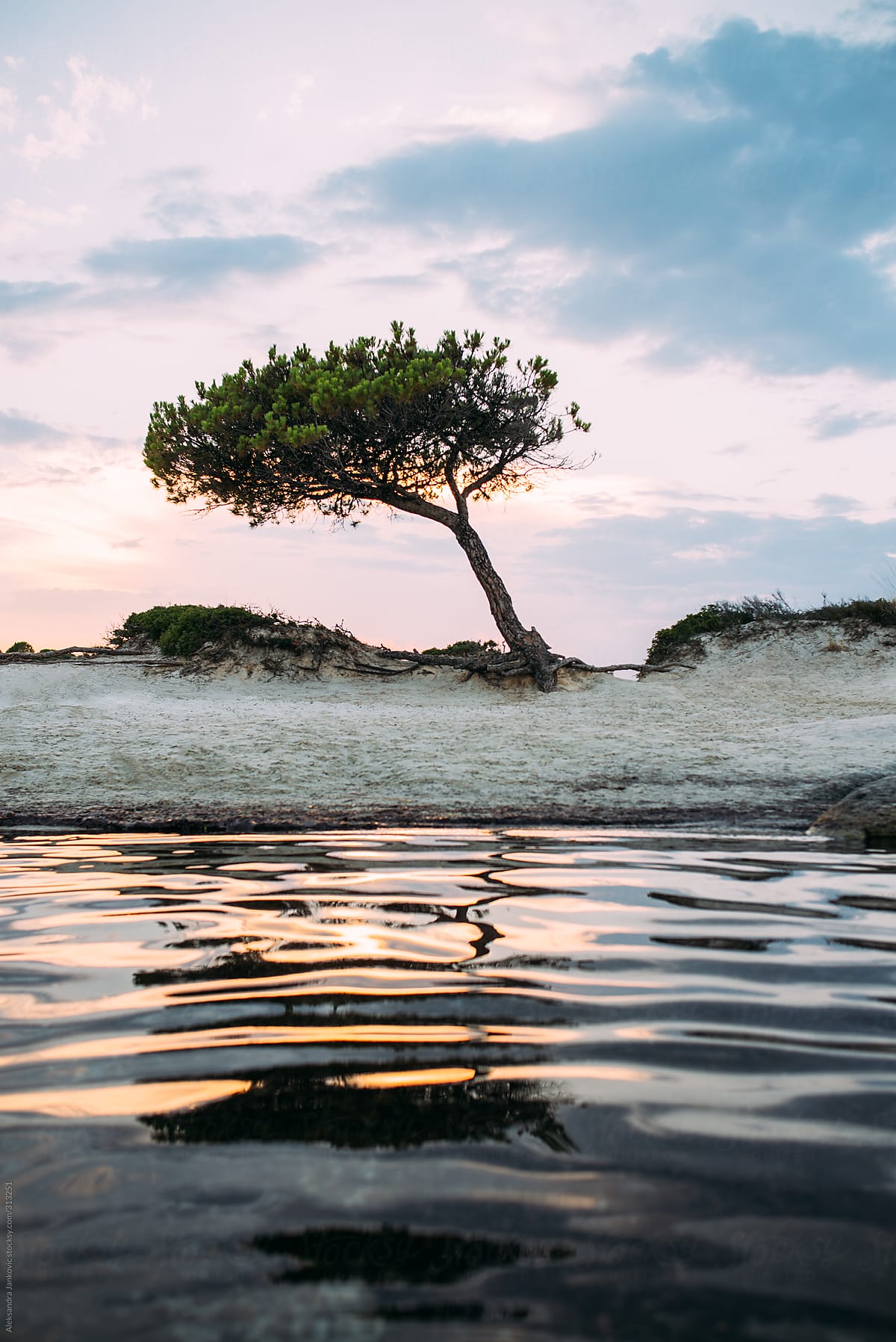 "Beautiful Seaside Landscape At Sunset" by Stocksy Contributor ...