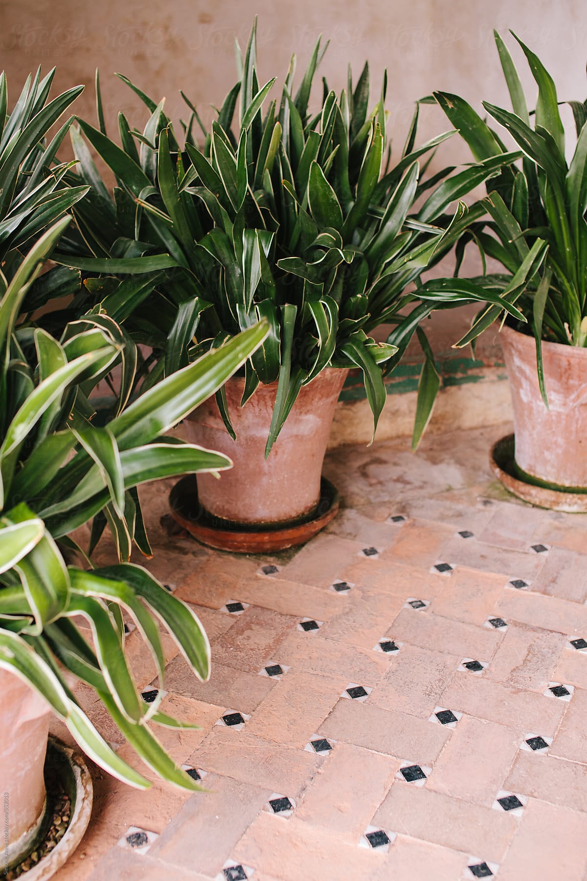 "Beautiful Lush Garden In A Palace" by Stocksy Contributor "Simone Anne ...