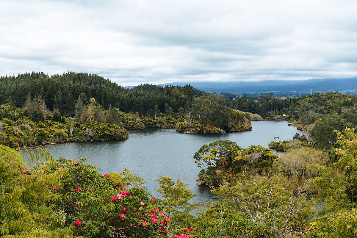 "Overcast Landscape With Lake" by Stocksy Contributor "Andrey Pavlov ...