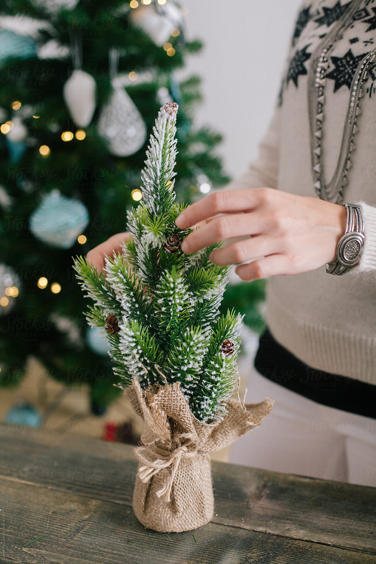 "Young Woman Holding Christmas Tree" by Stocksy Contributor "Davide ...