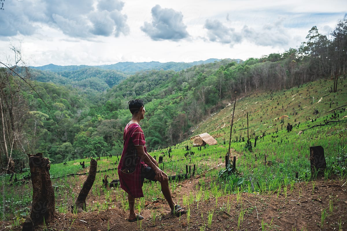 "Karen People In His Rotational Farming" by Stocksy Contributor "Chalit ...