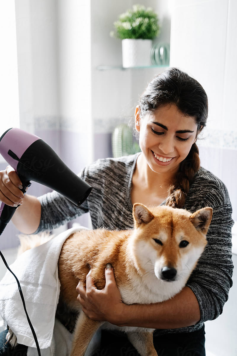 "Woman Drying A Dog With Hair Dryer." by Stocksy Contributor "mahalo ...
