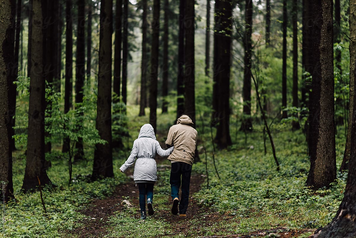 Walking Through The Forest