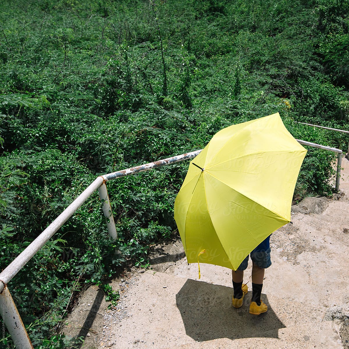 "Follow The Yellow Umbrella" by Stocksy Contributor "Lawrence del Mundo ...