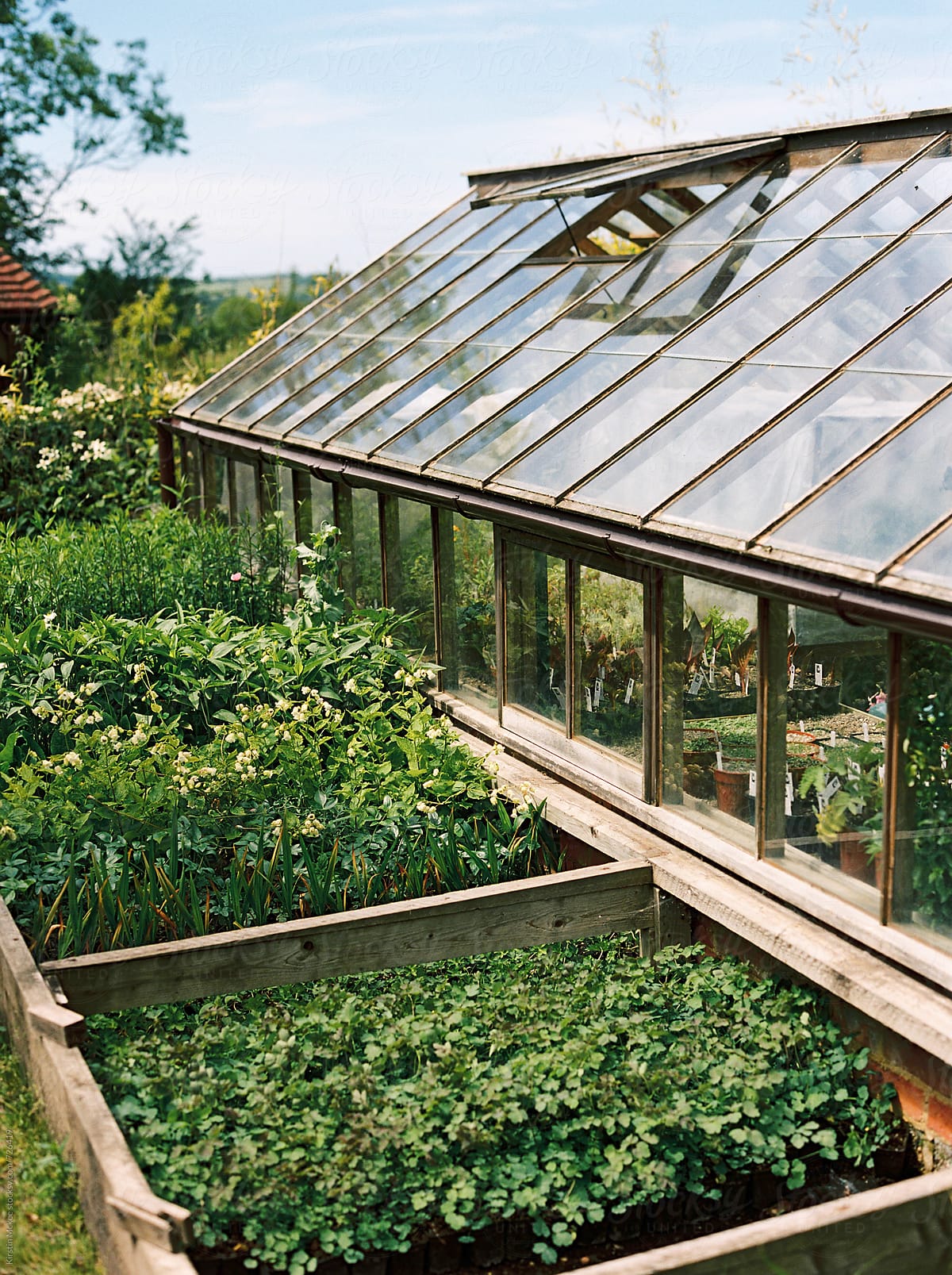 "Greenhouse With Plants Growing Outside" by Stocksy Contributor ...