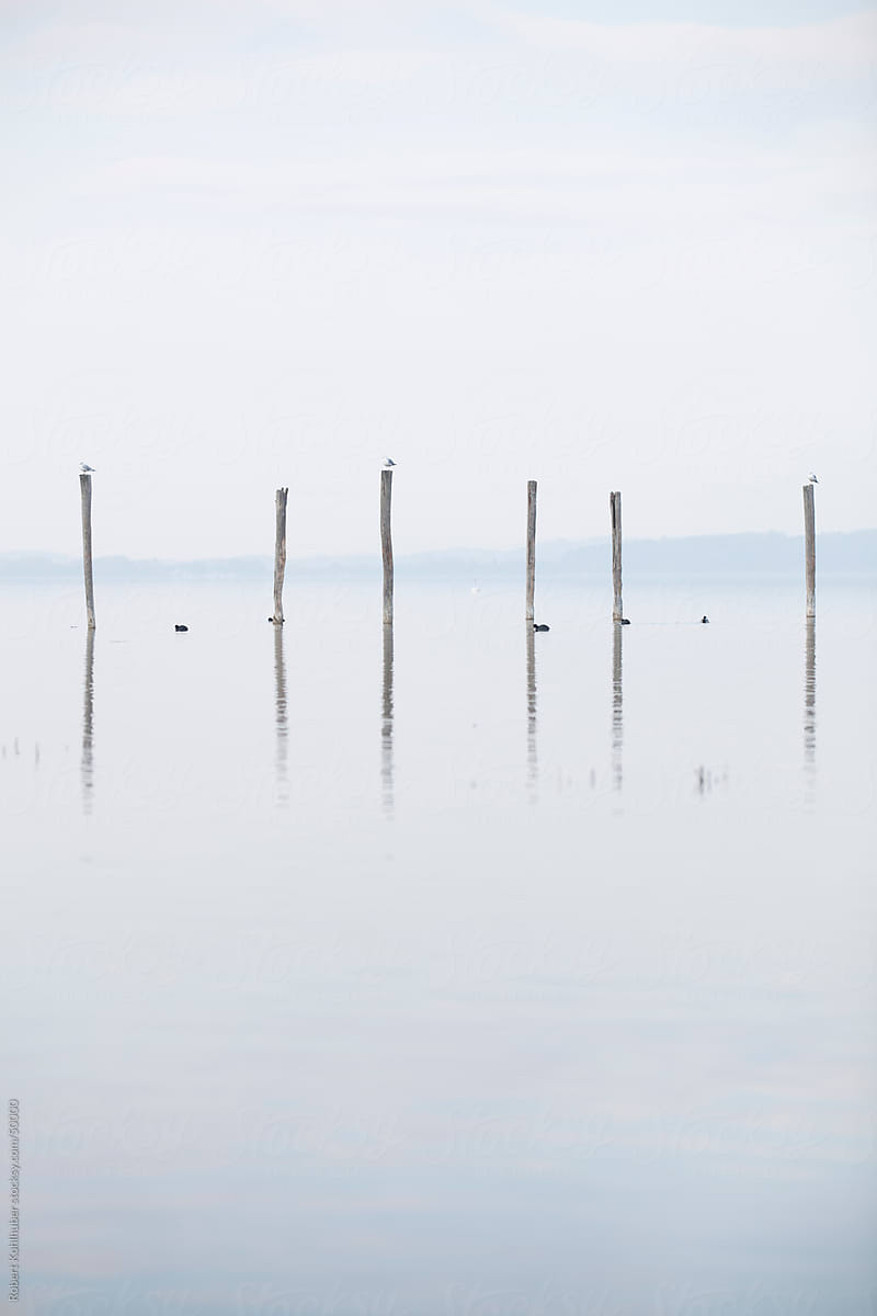"Poles In Water" by Stocksy Contributor "Robert Kohlhuber" - Stocksy