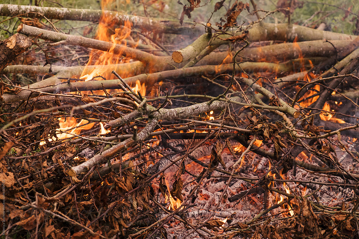 "Dry Burning Wood In A Bonfire" by Stocksy Contributor "Rebecca Spencer ...