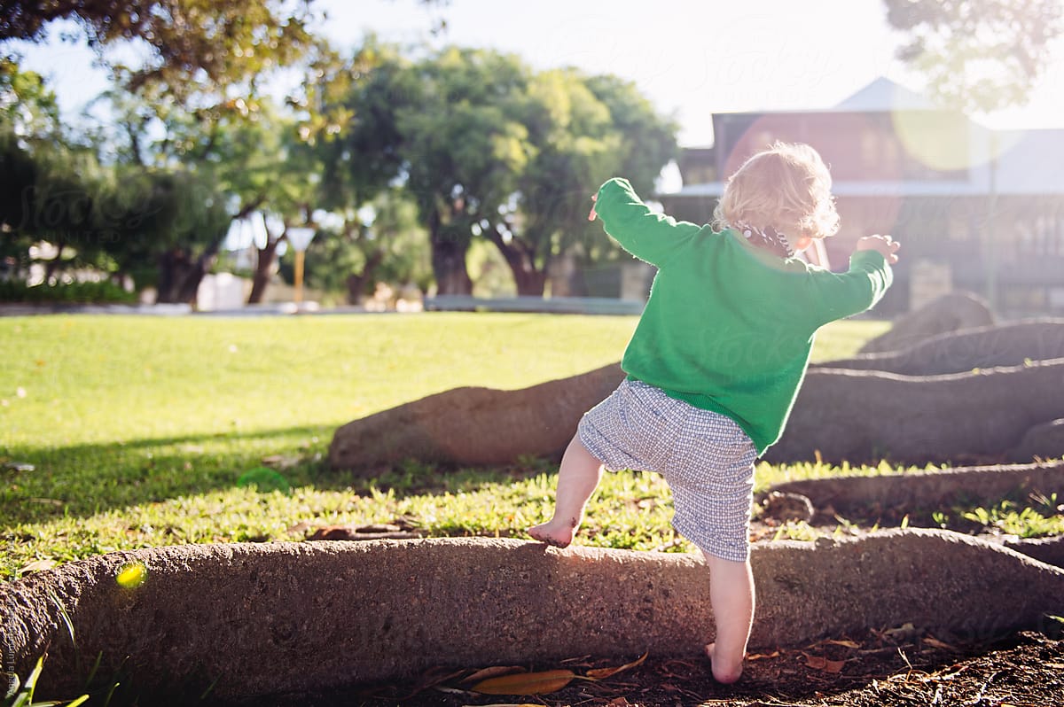 "Toddler Viewed From Behind Climbing Around The Exposed Roots Of A Tree ...