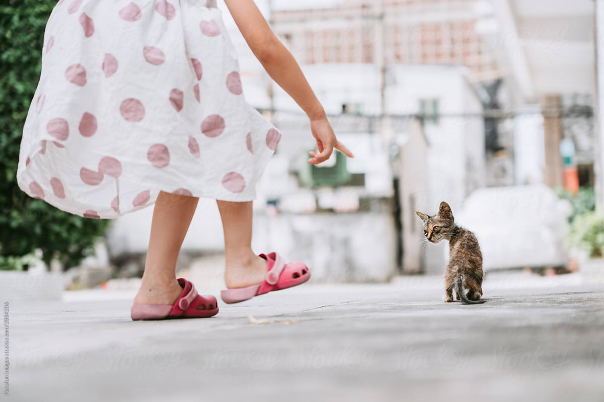 "Asian Little Girl And Sick Stray Cat" by Stocksy Contributor "Pansfun ...