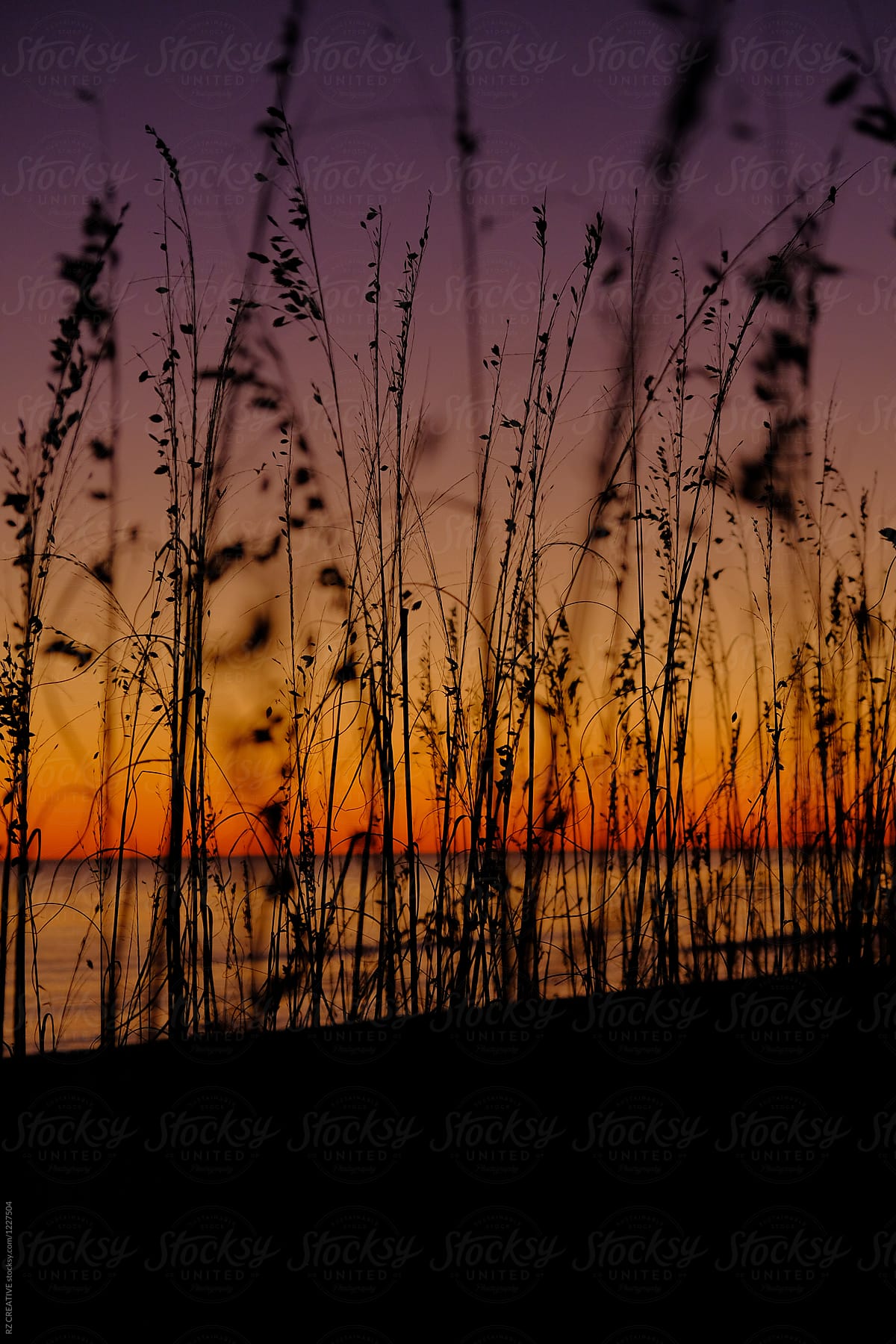 Prairie Grass Silhouette