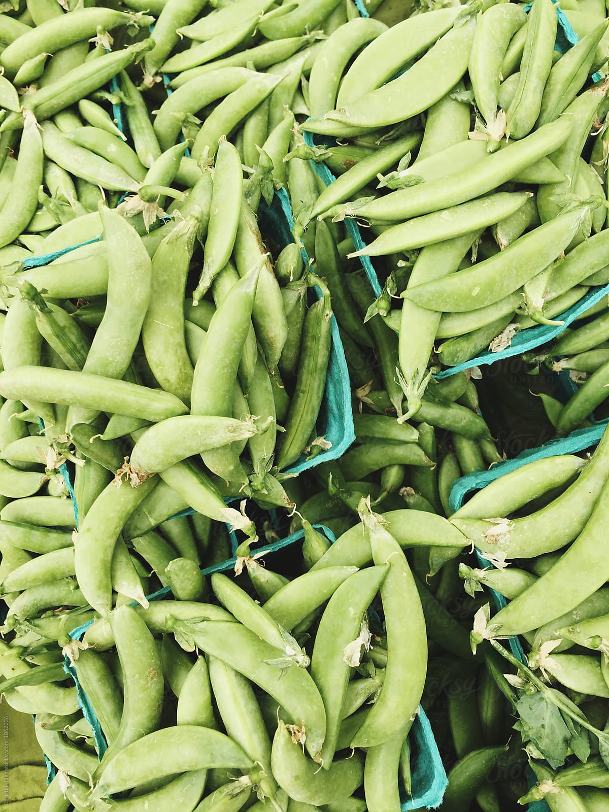 "Peas In Pod At Farmer's Market" by Stocksy Contributor "Christine Han ...