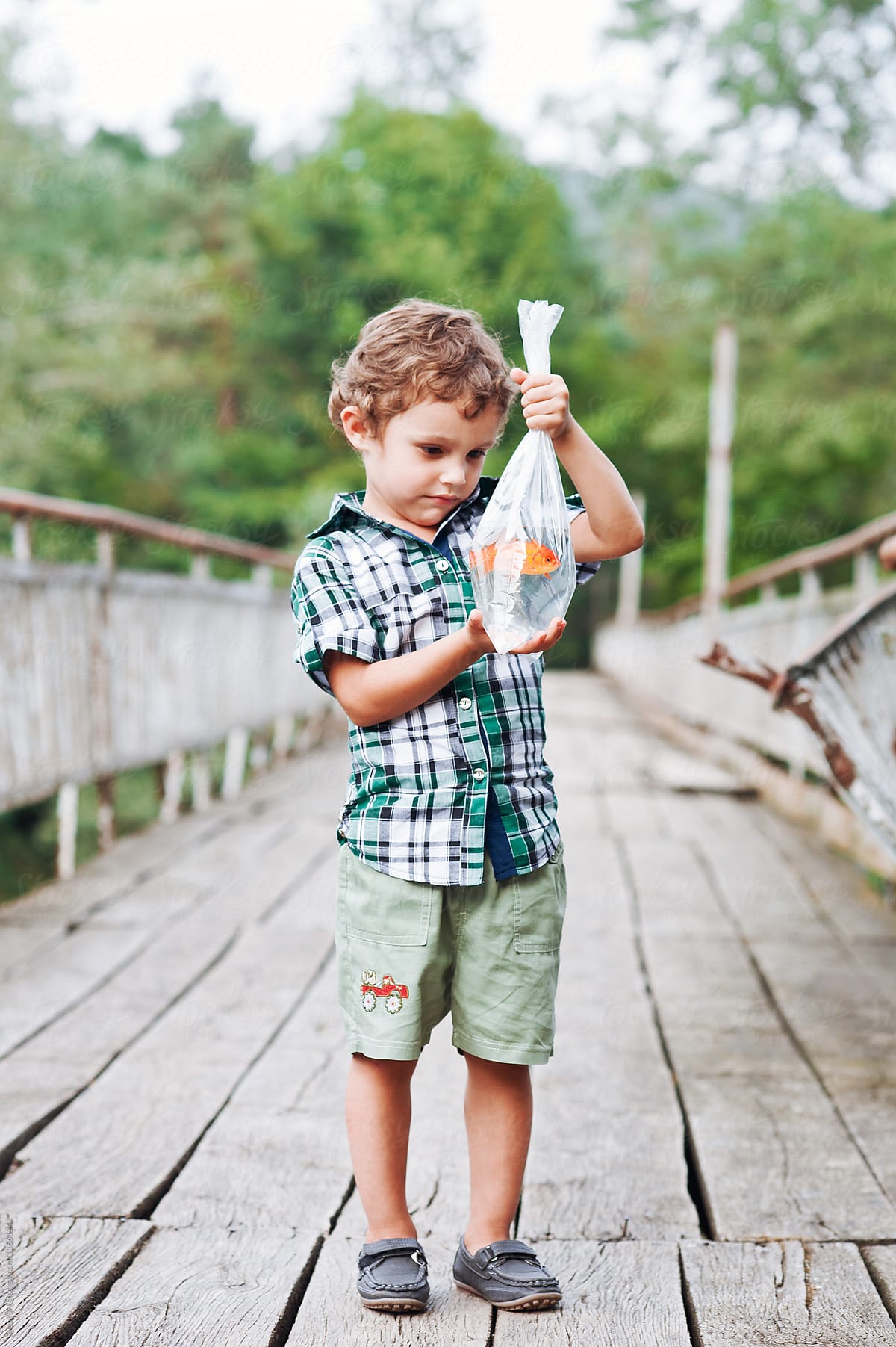 "Little Boy With Aquarium Decorative Fish" by Stocksy Contributor ...