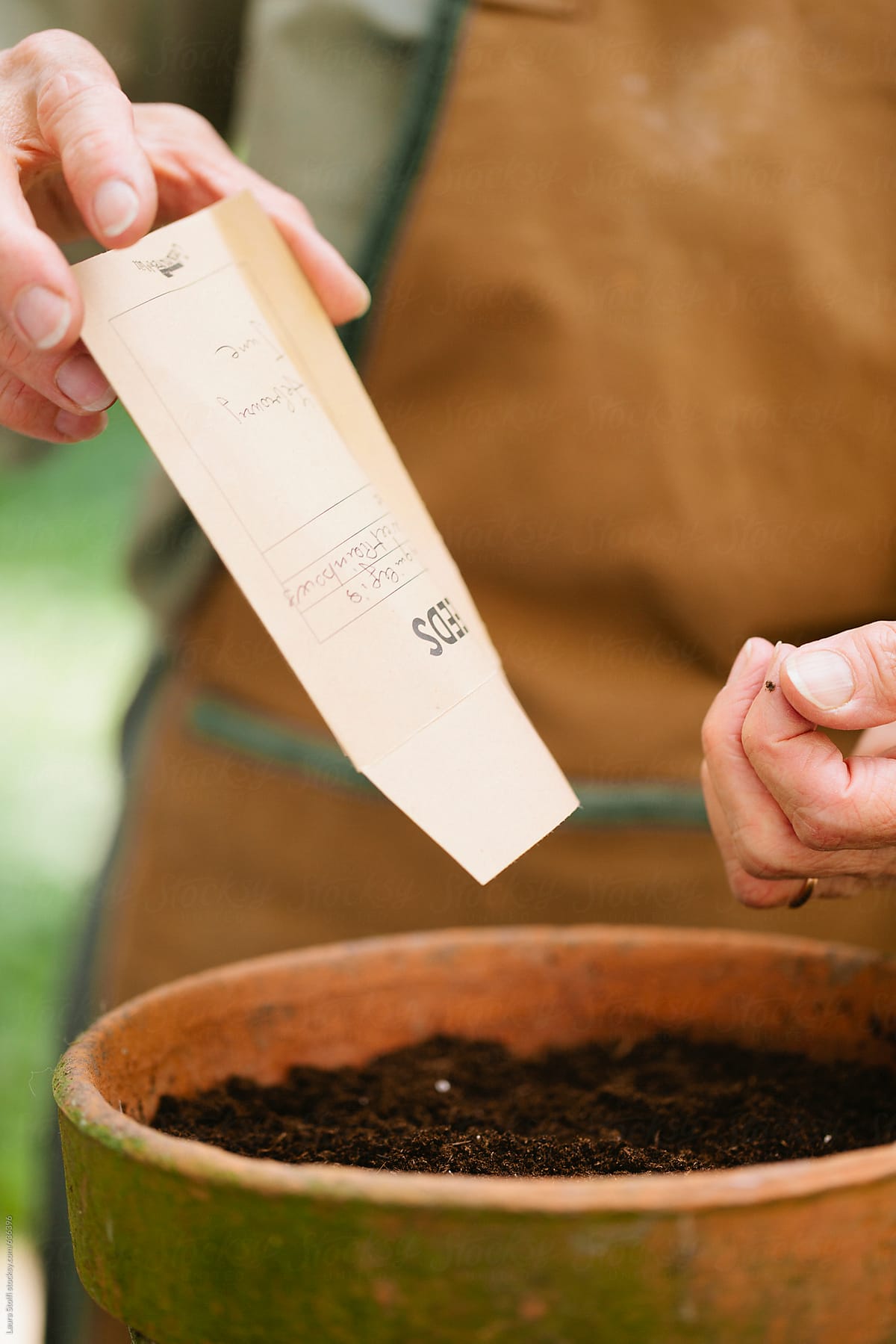 "Sowing Seeds In Pot" by Stocksy Contributor "Laura Stolfi" - Stocksy