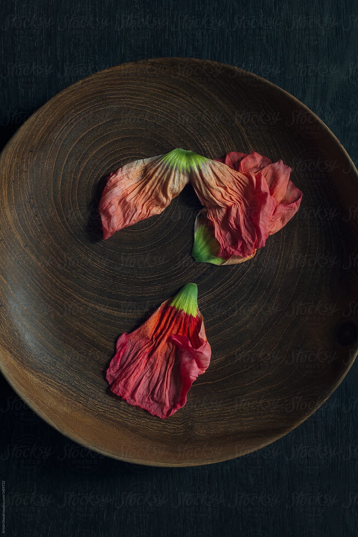 "Dried Red Flower Petals" by Stocksy Contributor "Kristin Duvall" - Stocksy