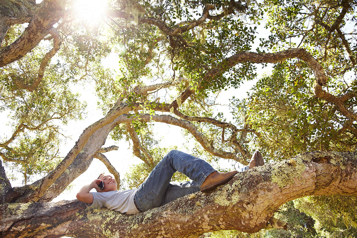 "Little Boy Sitting In An Oak Tree In Nature Talking On His Phone" by ...