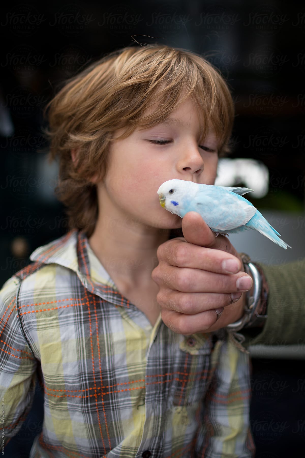 "Boy Kisses His Bird" by Stocksy Contributor "Melchior Van Nigtevecht ...