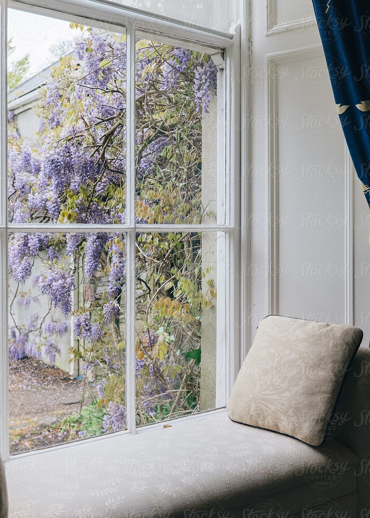 "Window Seat Looking Out Over Wisteria Vines" by Stocksy Contributor ...