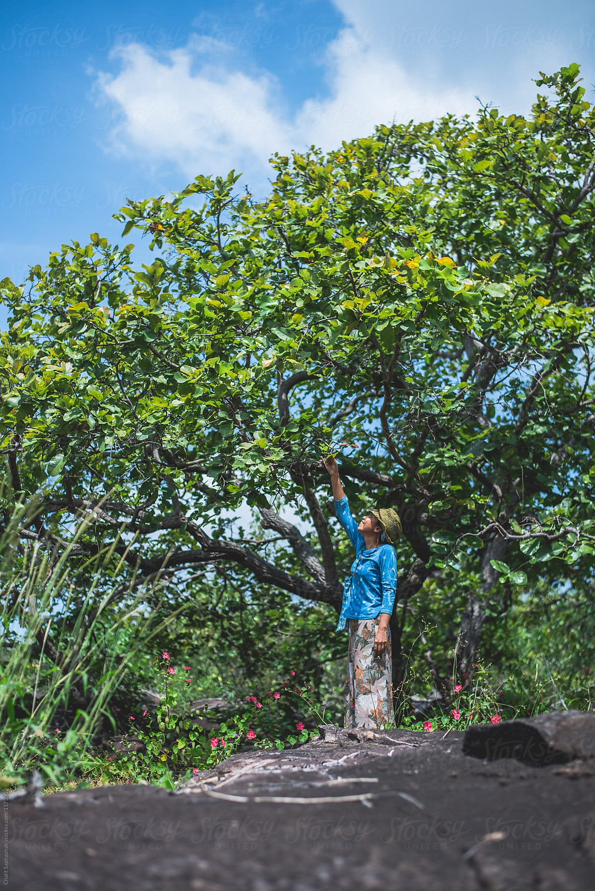 "Botanist" by Stocksy Contributor "Chalit Saphaphak" - Stocksy