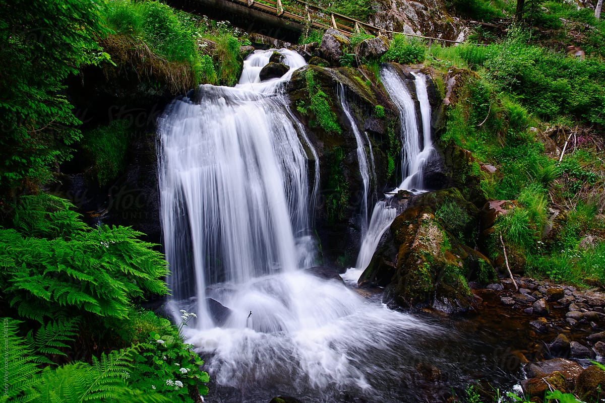 "Triberg Waterfall" by Stocksy Contributor "Peter Wey" - Stocksy