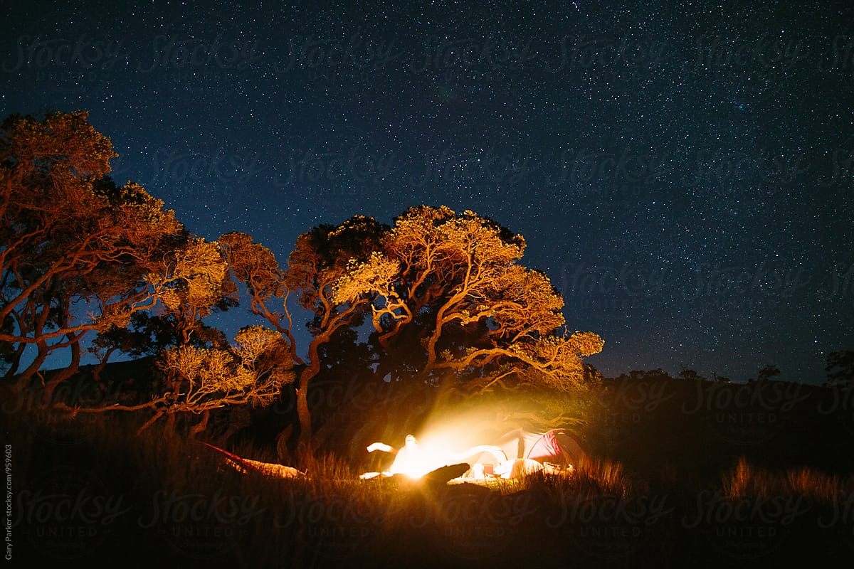 "Campfire Under A Large Tree" by Stocksy Contributor "Gary Parker ...