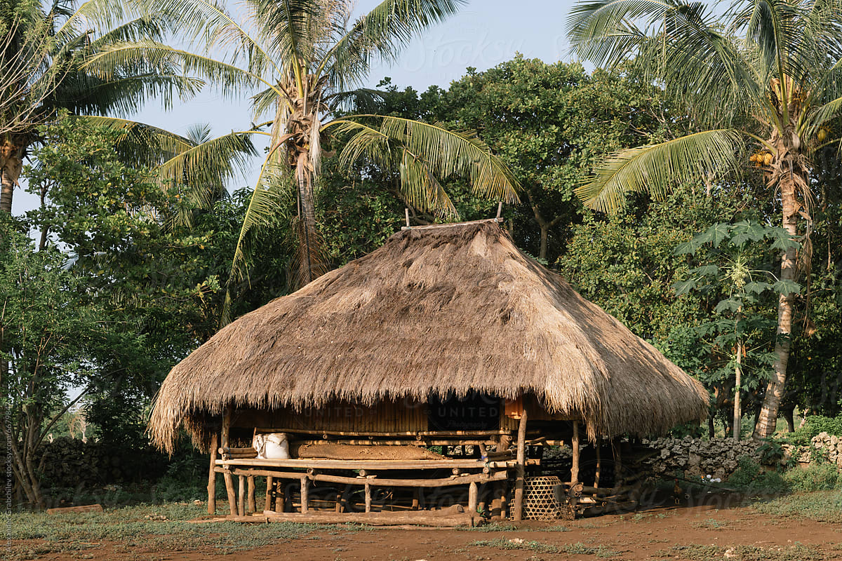 "Traditional Thatched-Roof Hut In Tropical Village" by Stocksy ...