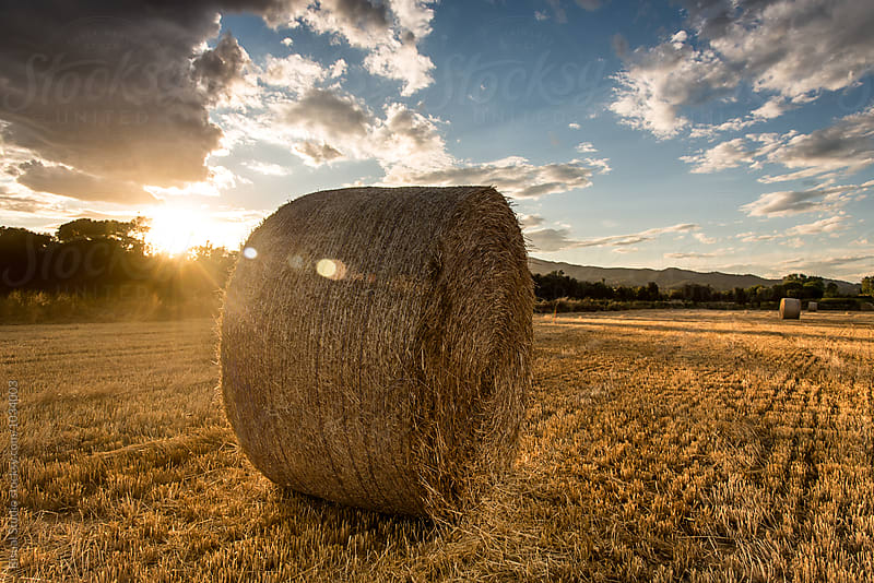 Straw bales below a cloudy sky at sunset - Stock Image - Everypixel