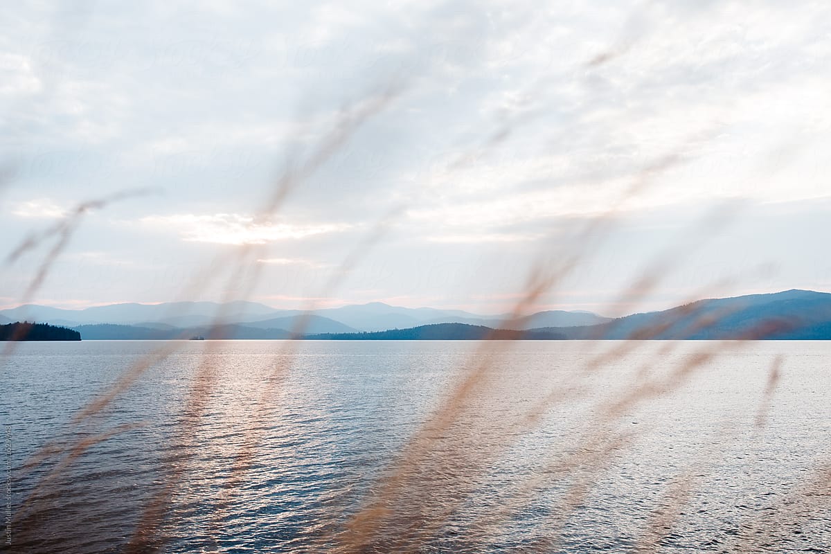 "Blurry Grass In Front Of Lake Landscape." by Stocksy Contributor ...