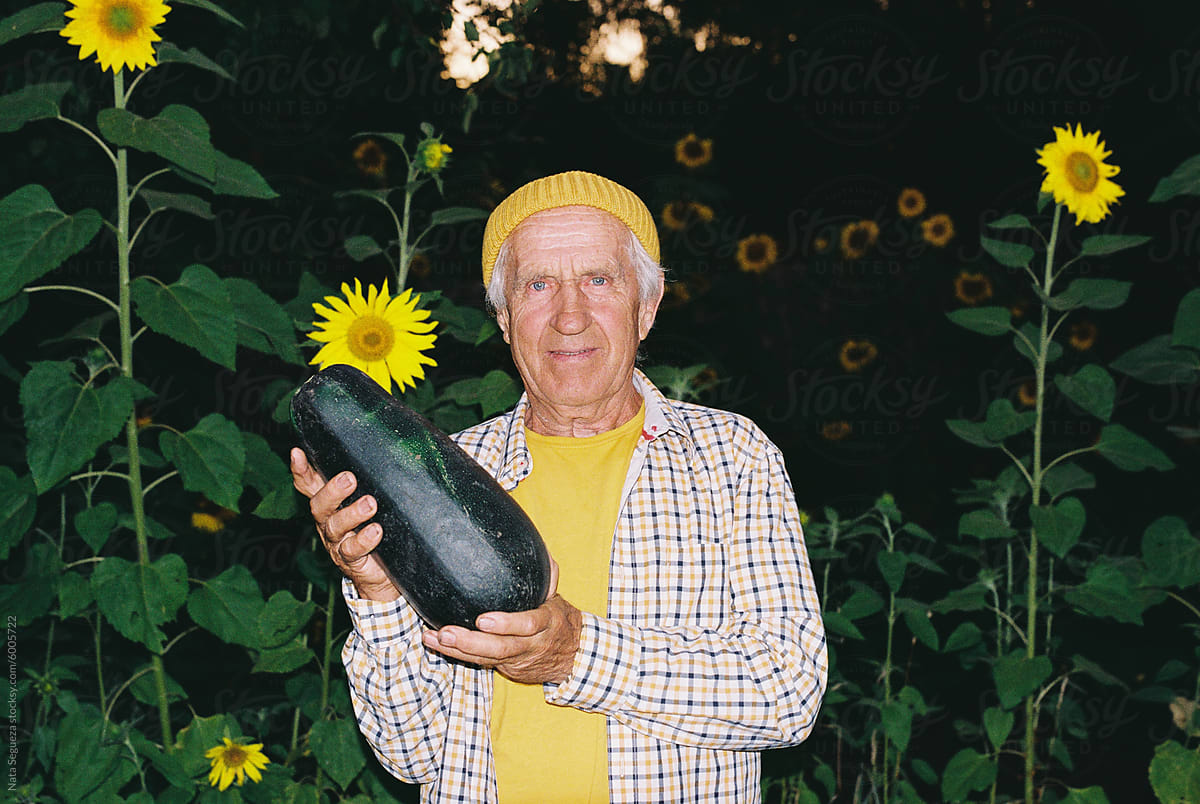 "An Elderly Man Proudly Holding A Large Zucchini" by Stocksy ...