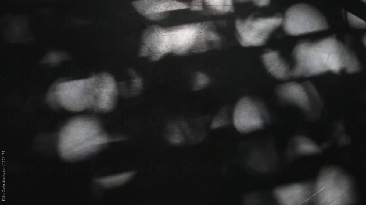 "Light Play On Gray Floor" by Stocksy Contributor "Eldad Carin" - Stocksy