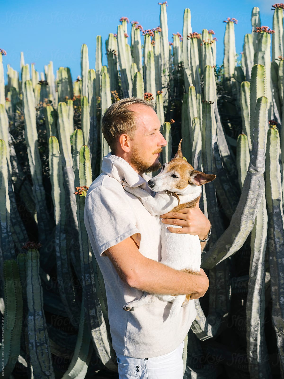 "Man With Dog In Cacti" by Stocksy Contributor "Dreamwood Photography ...