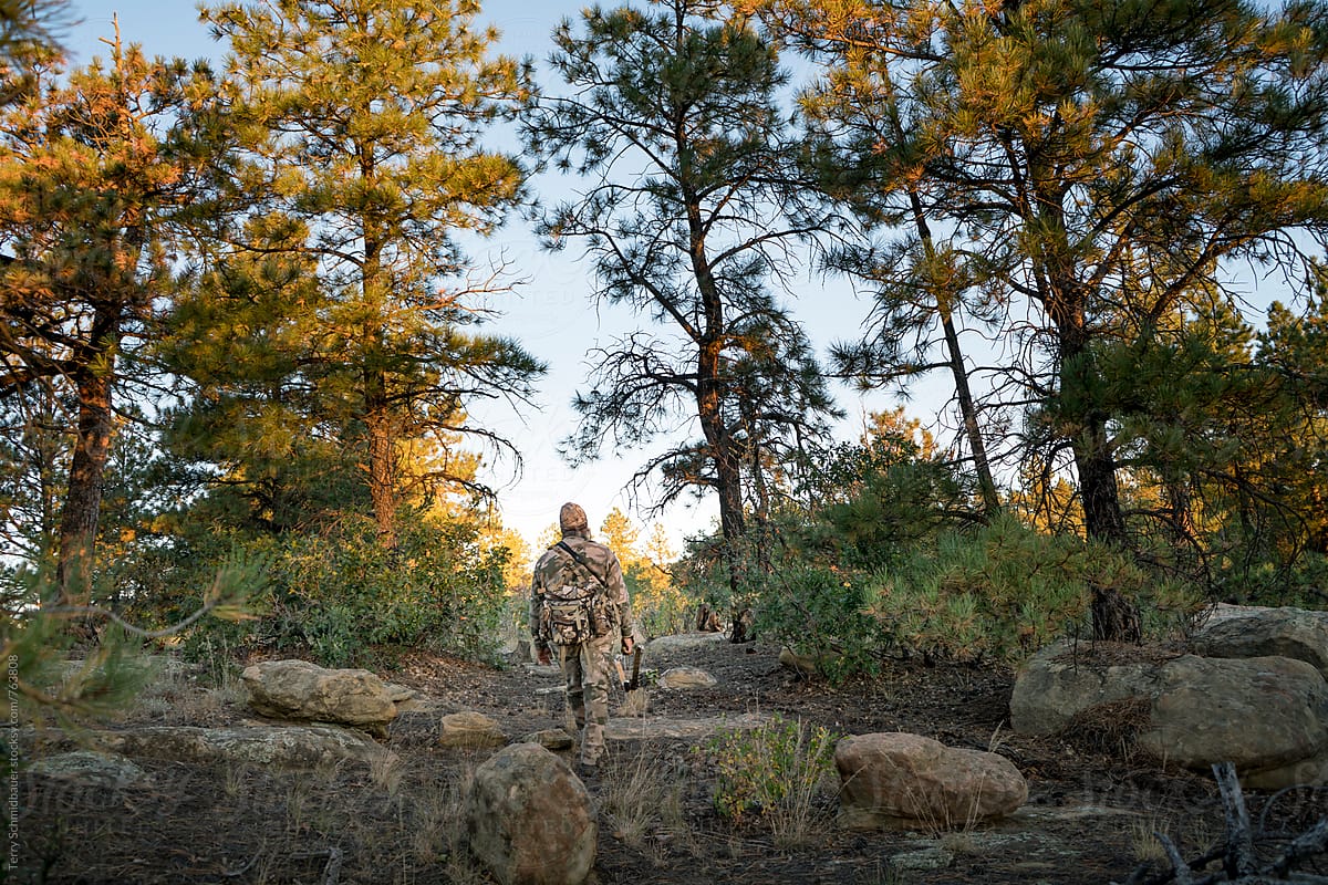 "Elk Hunting In Colorado" by Stocksy Contributor "Terry Schmidbauer ...