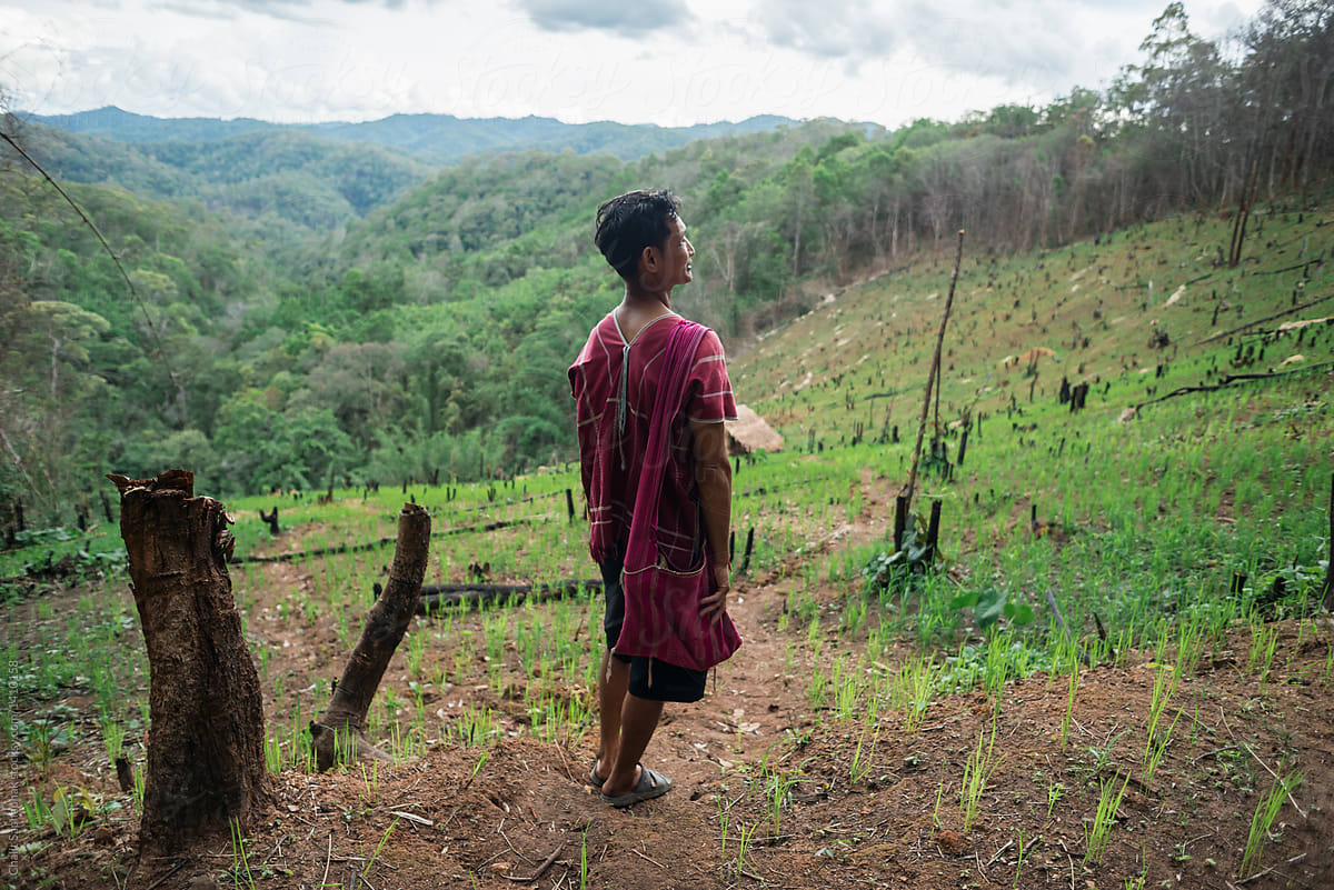 "Karen People In His Rotational Farming" by Stocksy Contributor "Chalit ...
