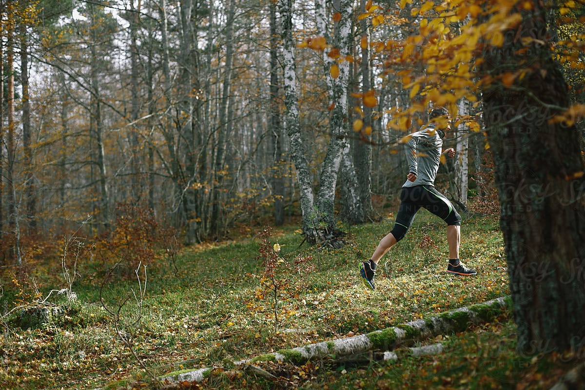 "Trail Runner Training In The Forest" by Stocksy Contributor "Miquel ...