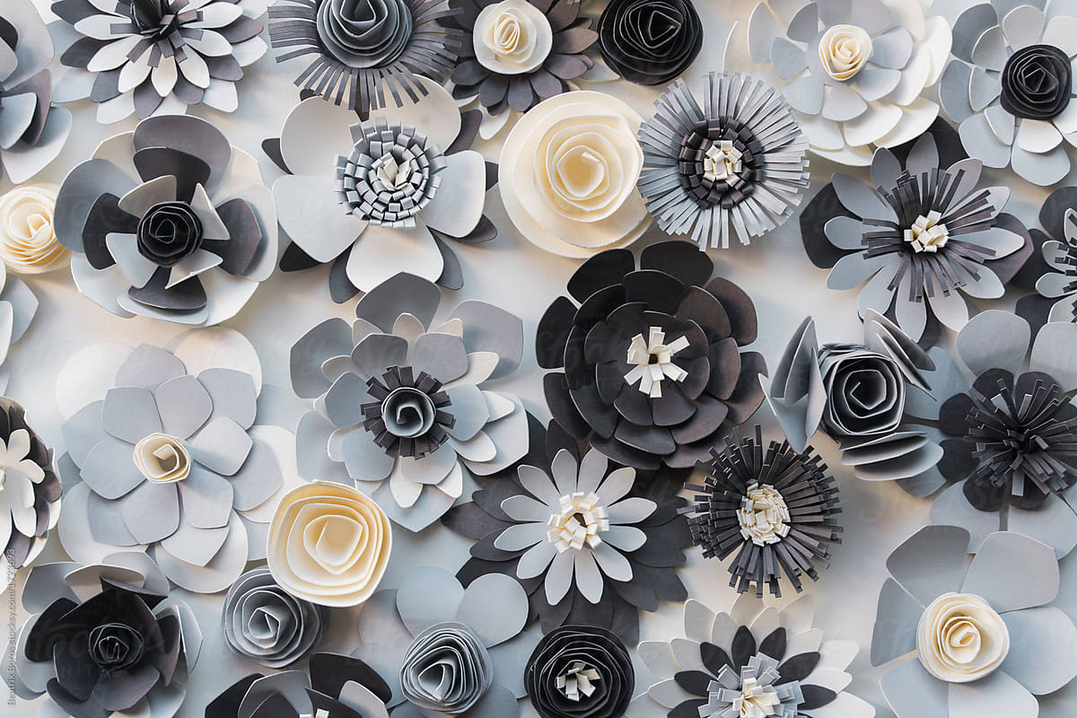 "Paper Flower Pattern" by Stocksy Contributor "Beatrix Boros" - Stocksy