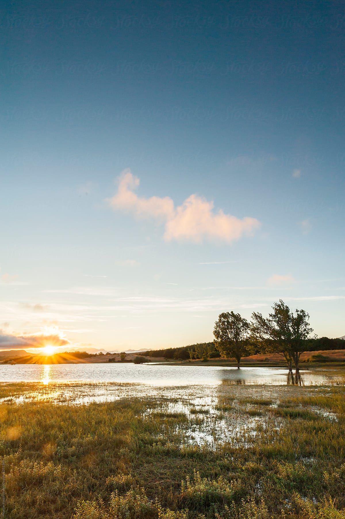 "Wetland At Sunset" by Stocksy Contributor "Marilar Irastorza" - Stocksy