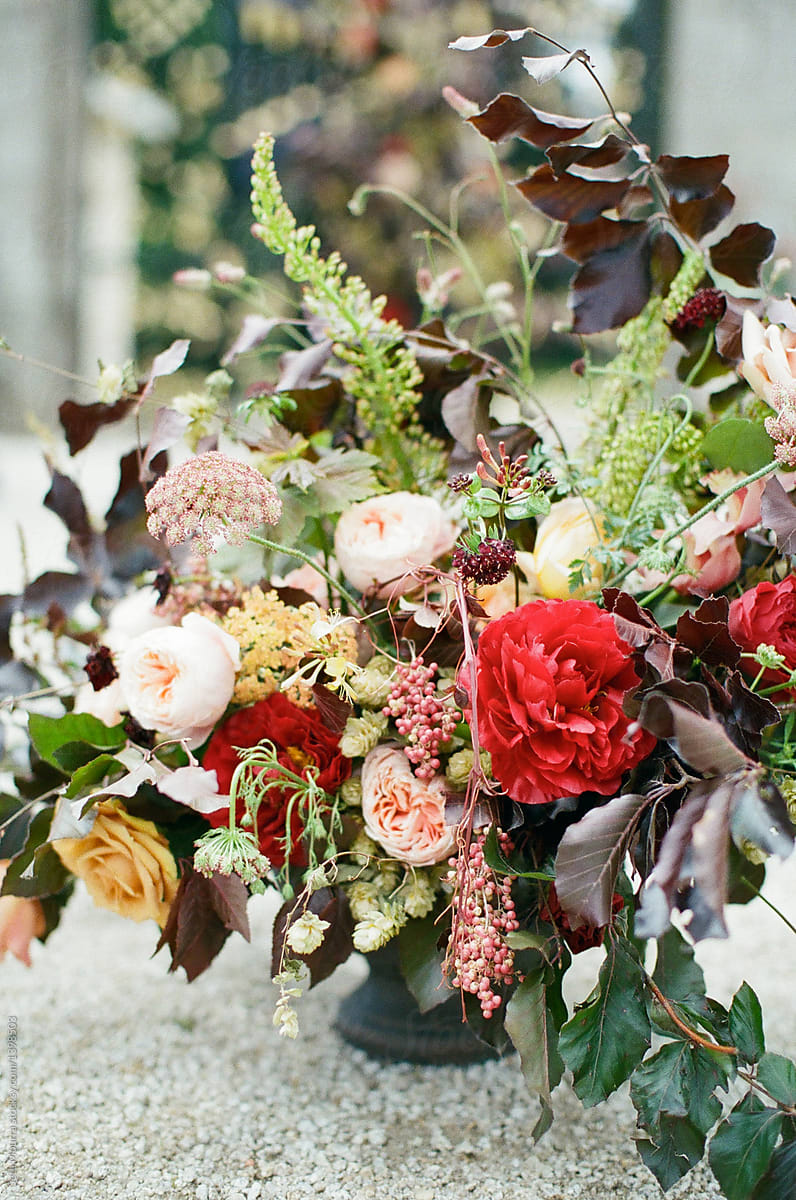 "Rich, Deep, Floral Arrangement" by Stocksy Contributor "Seth Mourra ...