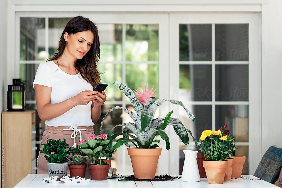 "Beautiful Woman Transplanting Plant" by Stocksy Contributor "Santi ...
