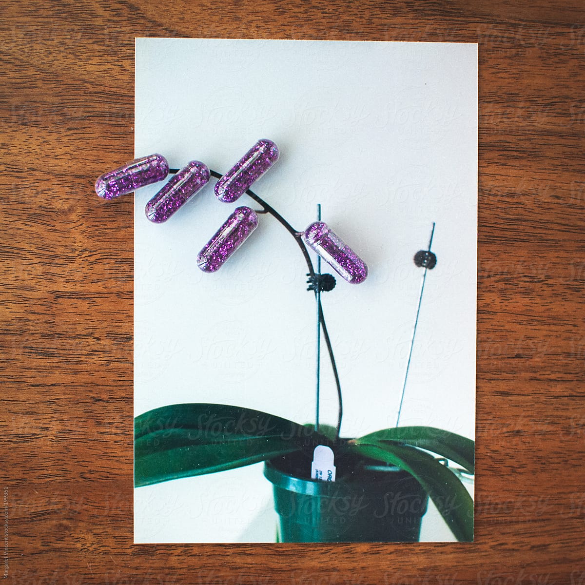 "Pills As Flower Buds: Homegrown Health And Alternative Medicine ...