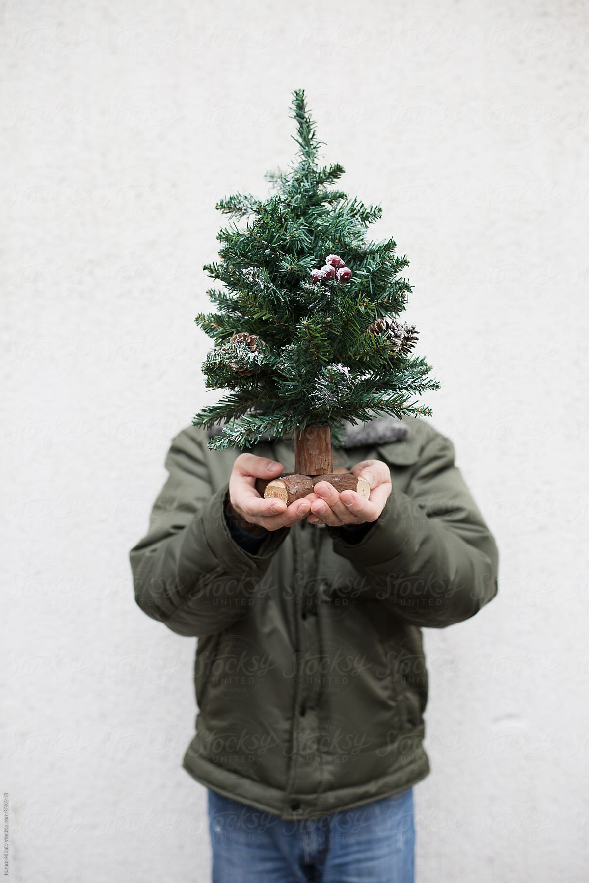 "Man Holding Mini Christmas Tree" by Stocksy Contributor "Jovana Rikalo ...