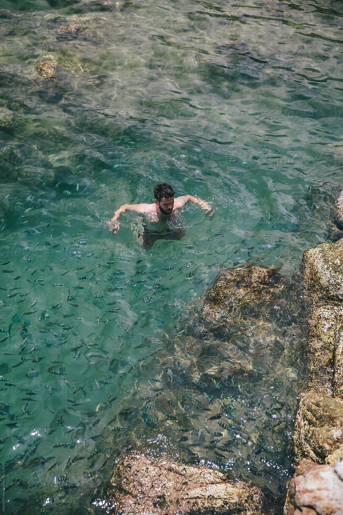 "Man Swimming In Clear Water In Summer" by Stocksy Contributor "Andrey ...